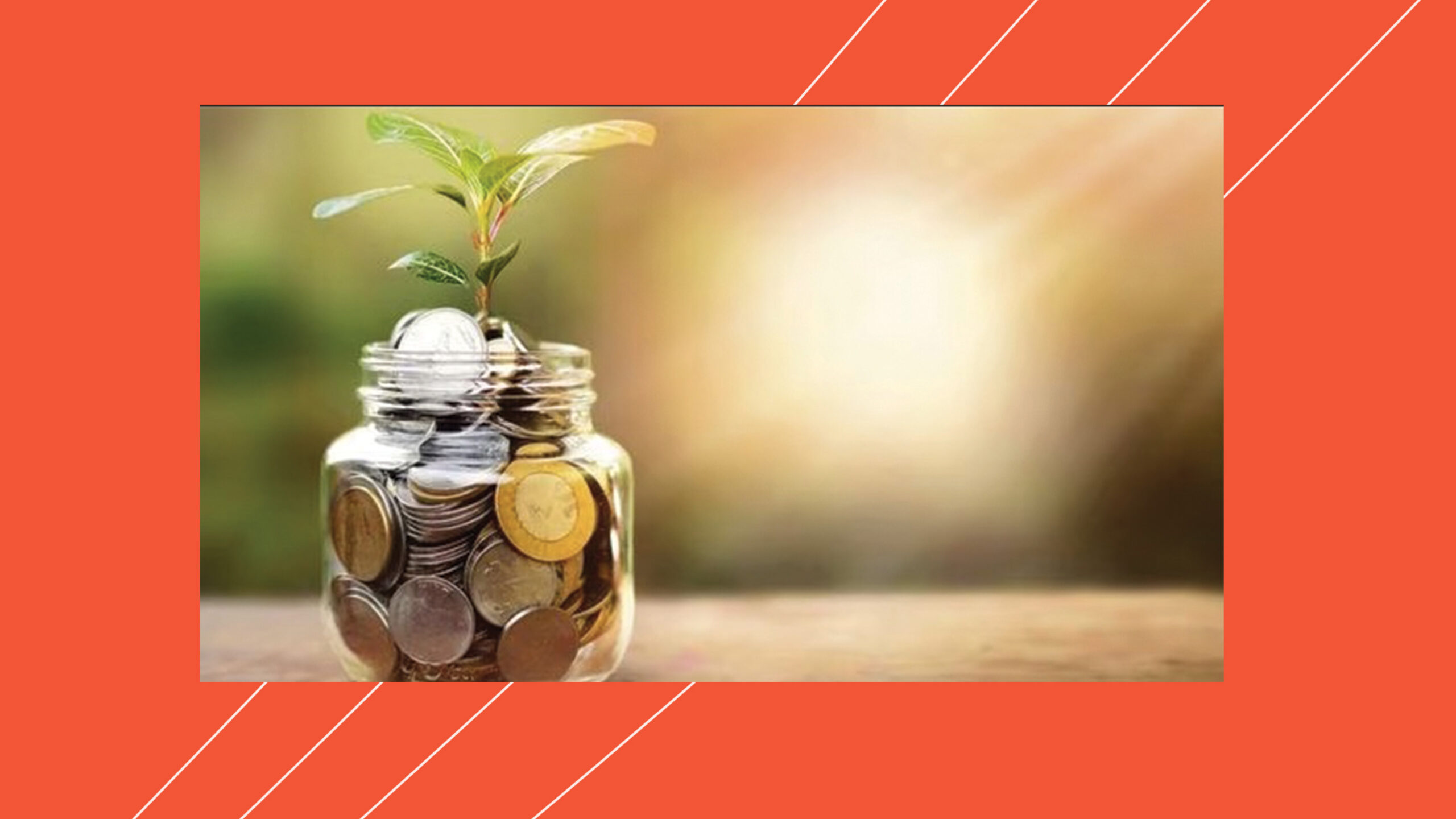 3 Ways to Maximize Savings without Sacrificing Returns - WiserWulff